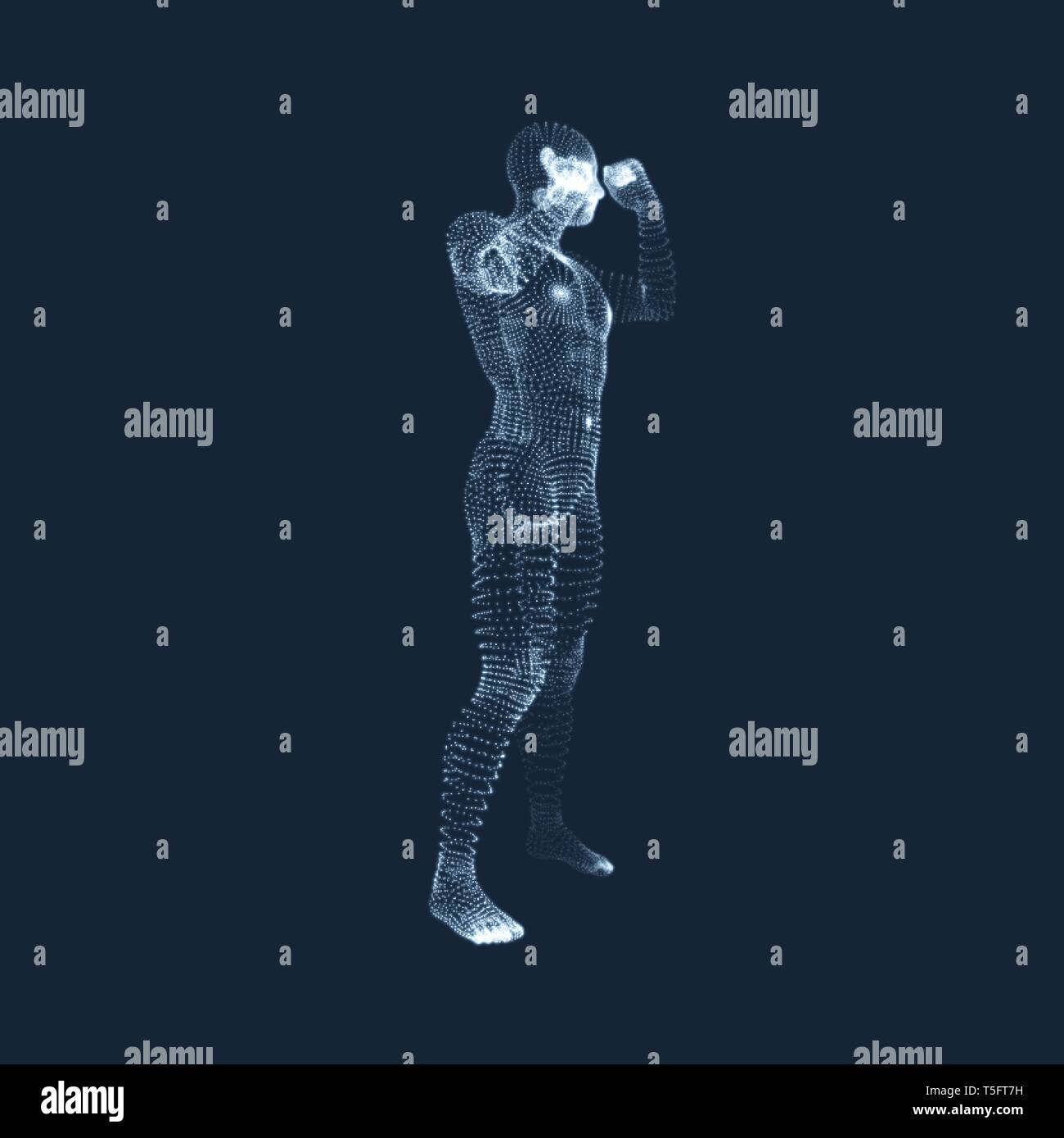 Fighting Man. 3D Model of Man. Human Body Model. Body Scanning. View of ...
