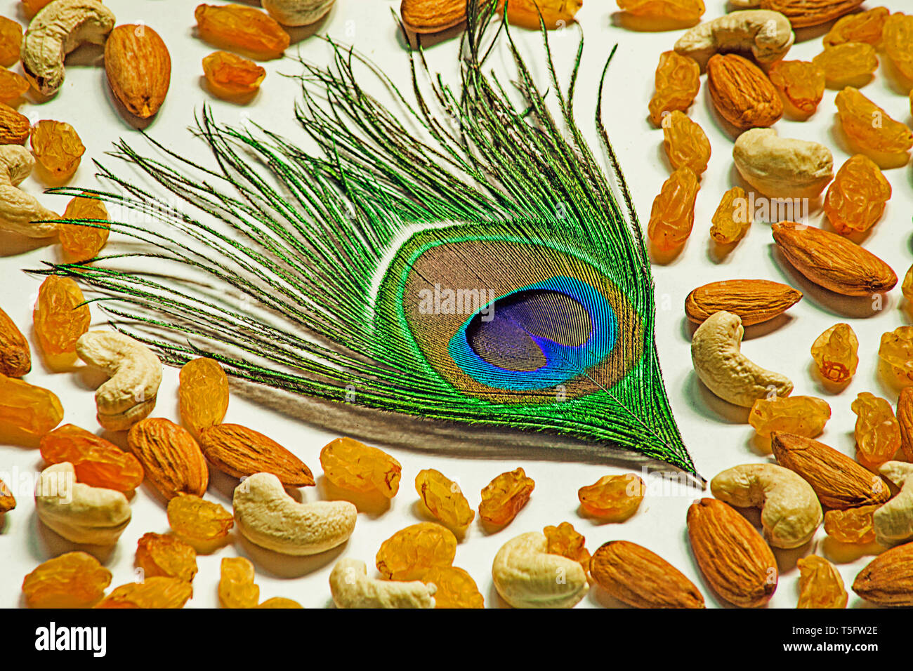 Dry fruits with peacock feather, visakhapatnam, andhra pradesh, India ...