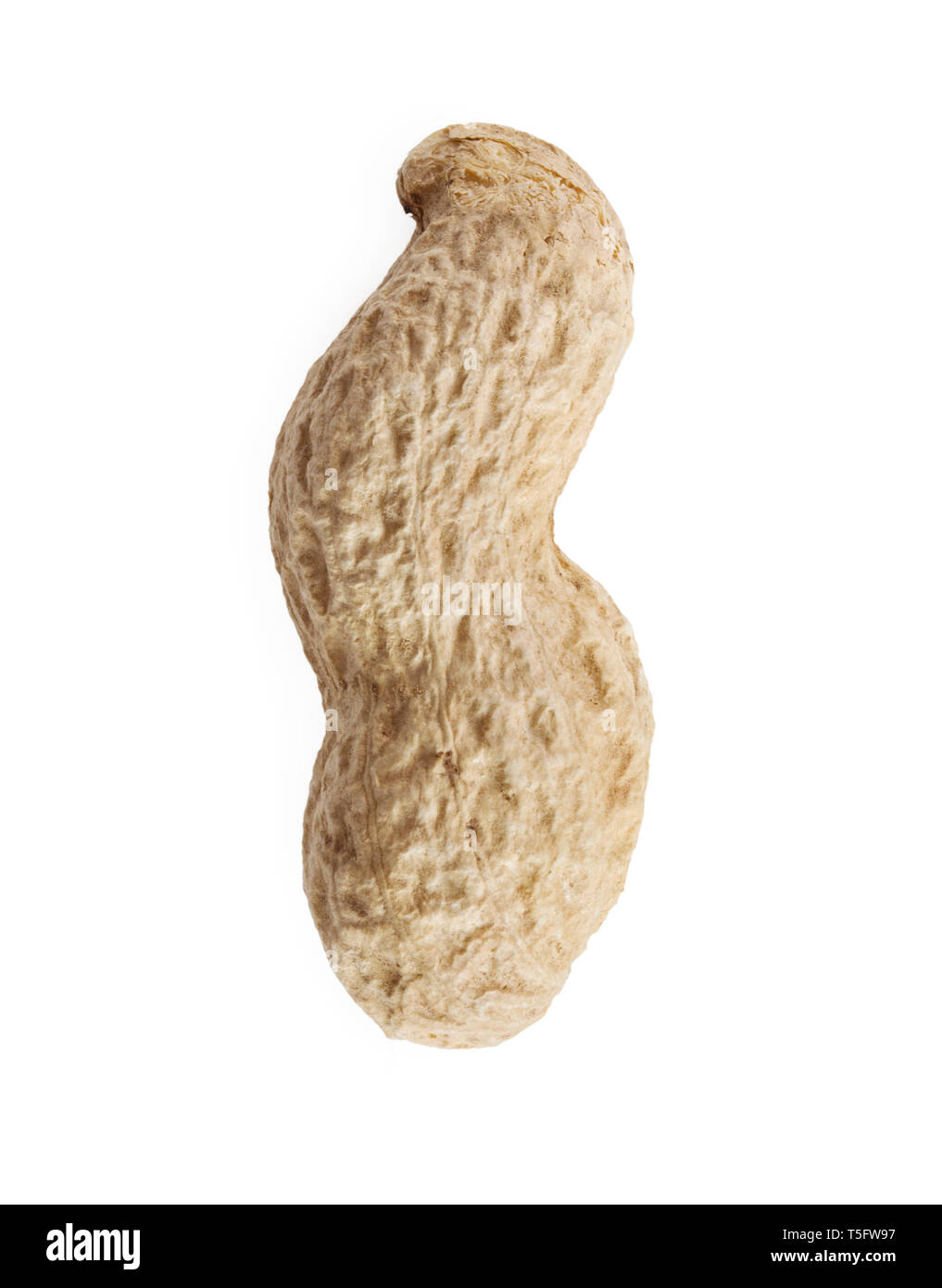 Single Groundnut
