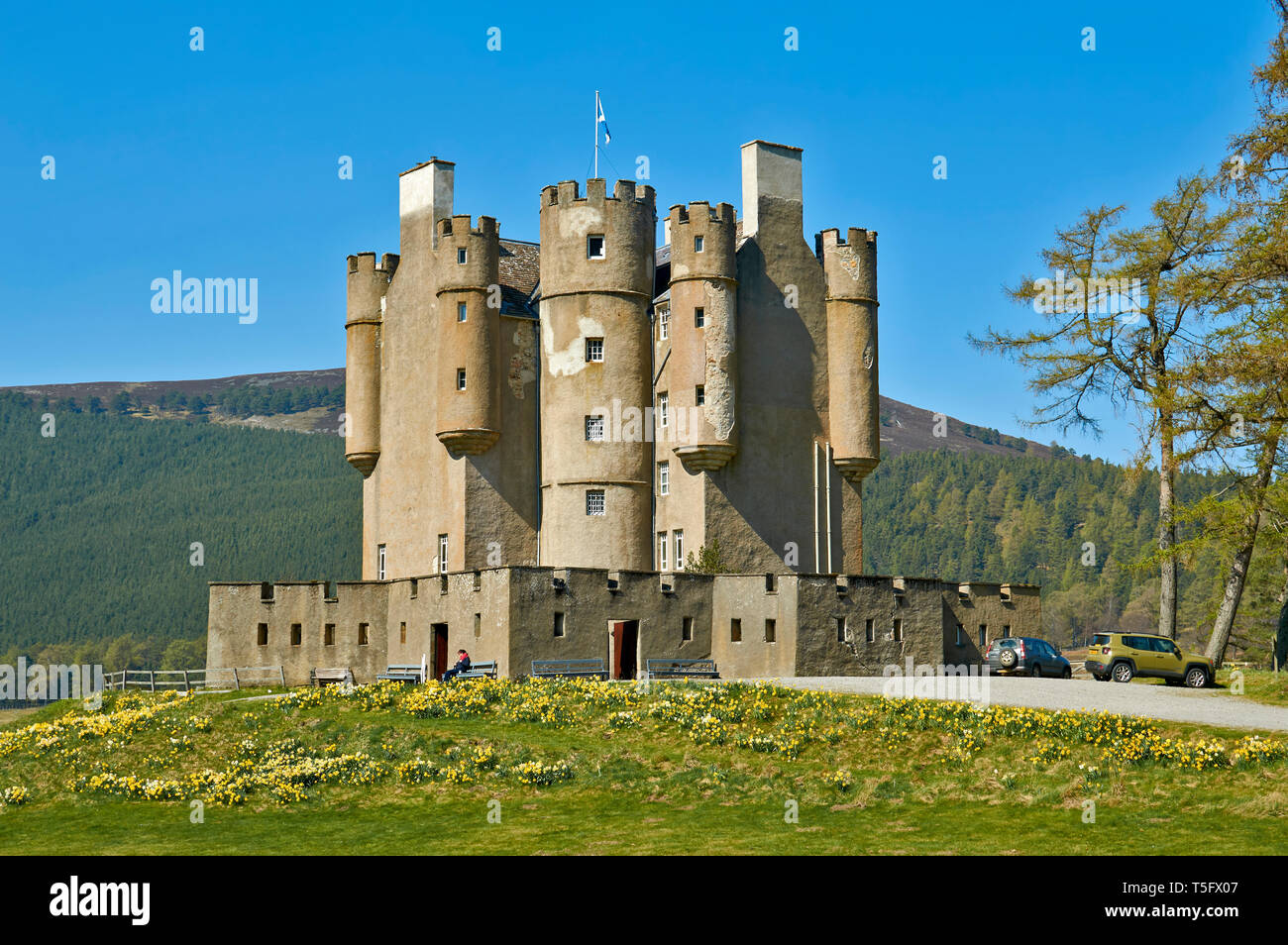 BRAEMAR ABERDEENSHIRE SCOTLAND BRAEMAR CASTLE AND BANKS OF DAFFODILS IN ...
