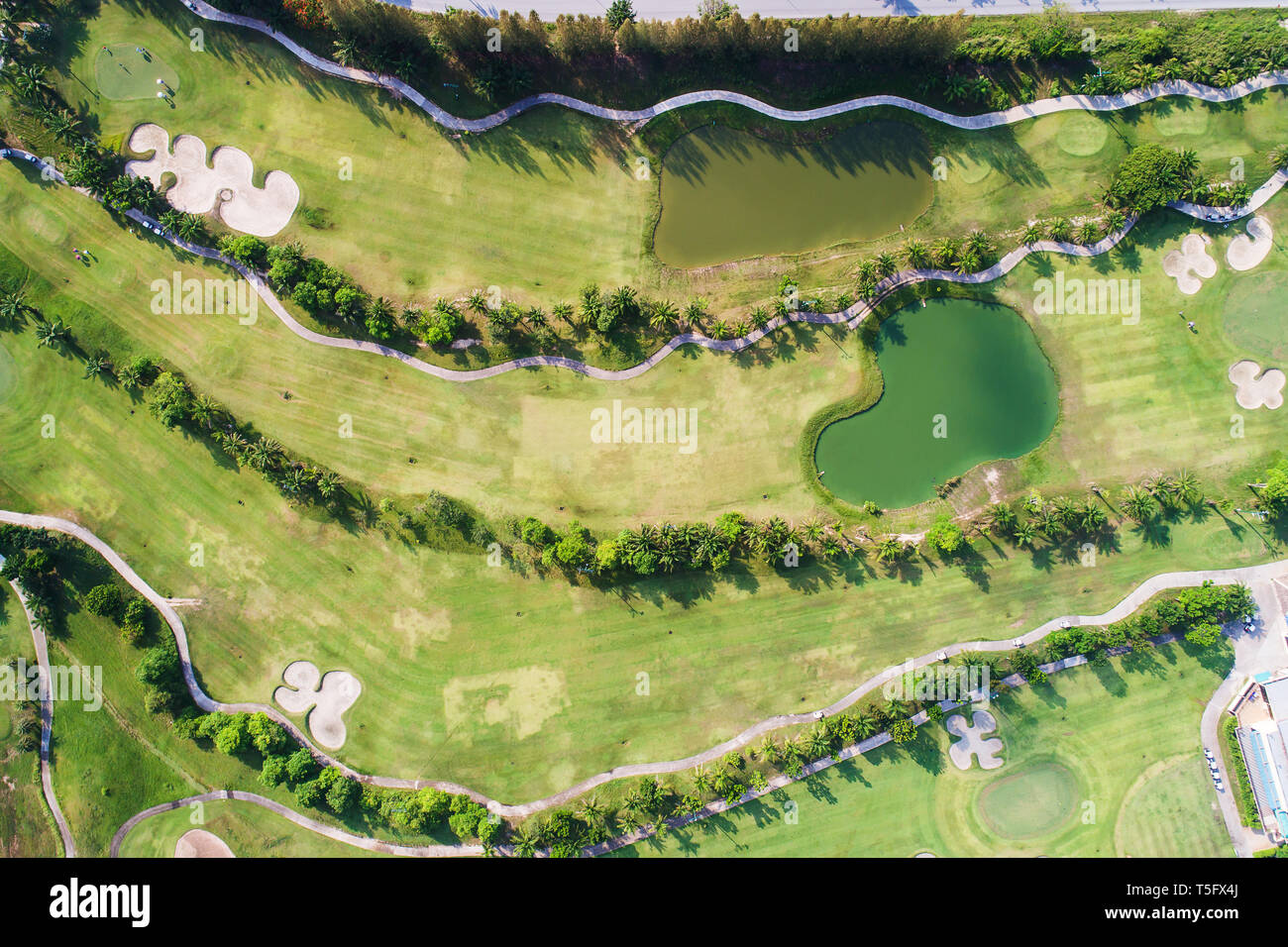 Aerial view photography of forest and golf course with lake. Golf and ...