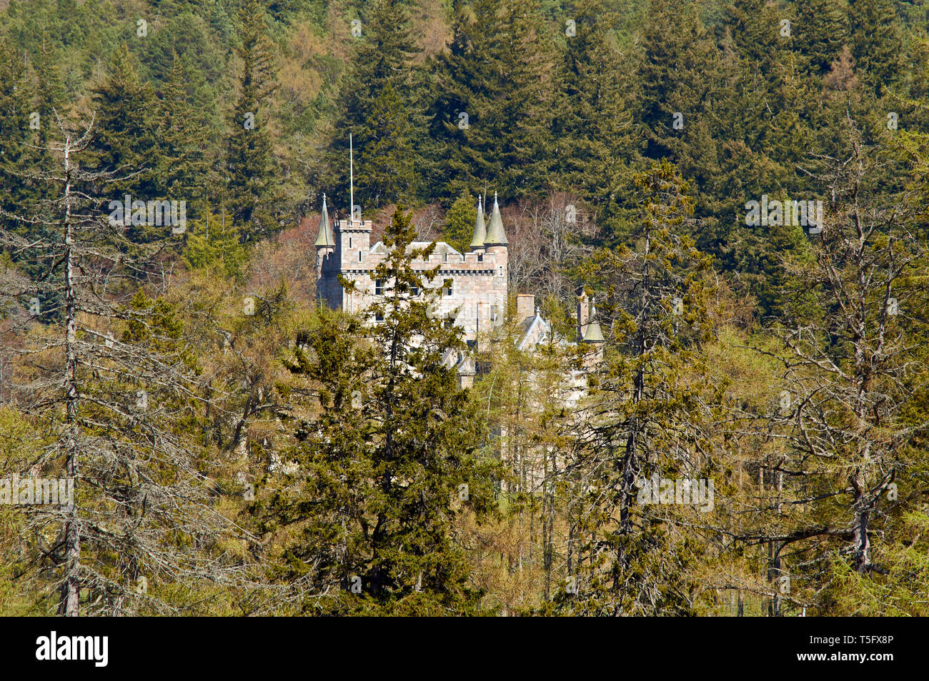 Invercauld castle hi-res stock photography and images - Alamy