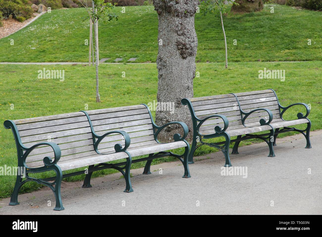 Golden Gate Park empty benches in San Francisco, California, USA Stock ...