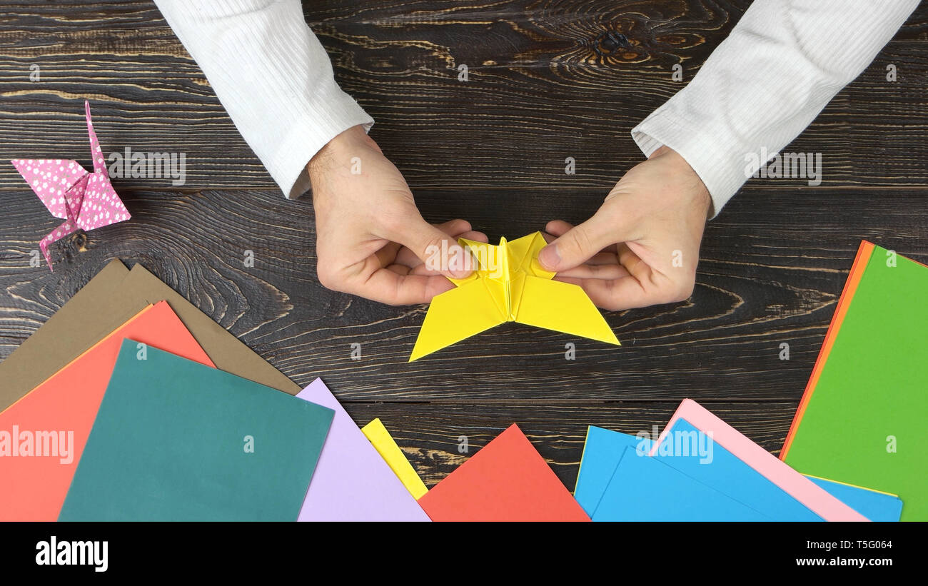 Man made origami butterfly, top view Stock Photo - Alamy