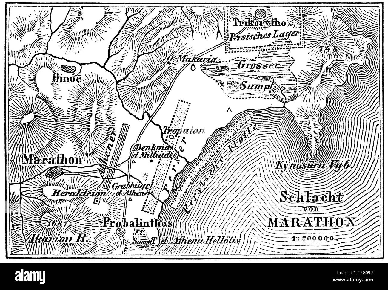 Battle Of Marathon Map