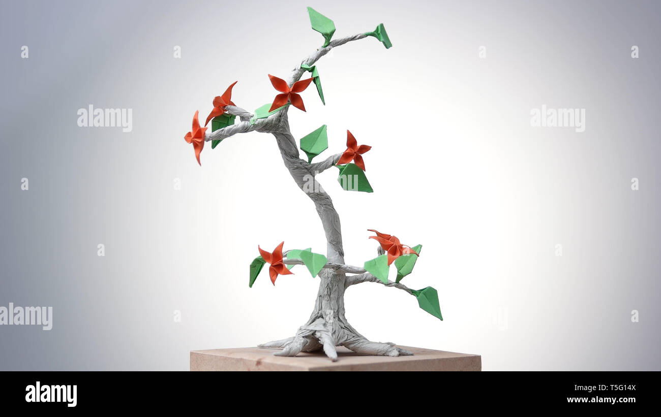 Beautiful origami bonsai Stock Photo - Alamy