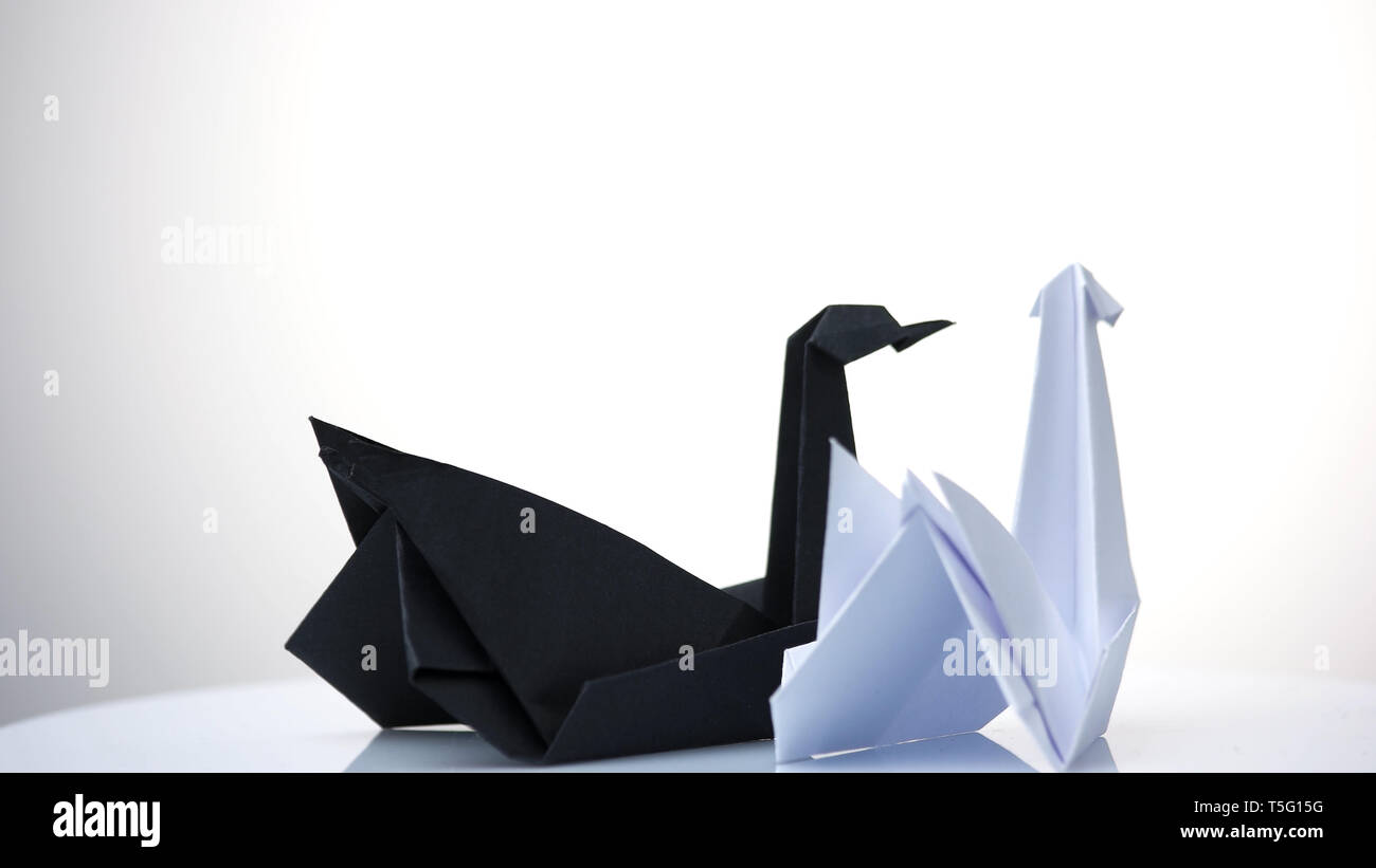 Swans folded from paper on white background Stock Photo - Alamy
