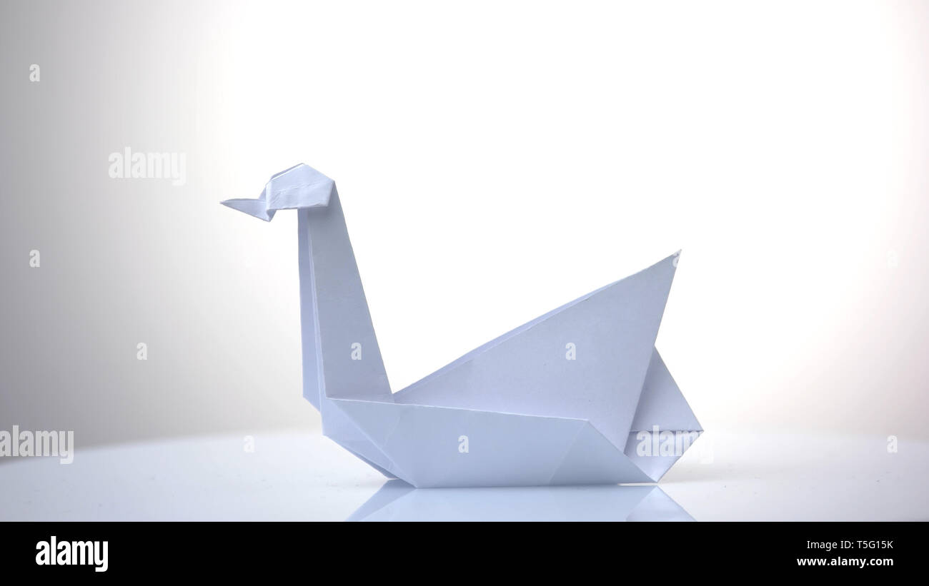 White paper swan isolated Stock Photo - Alamy