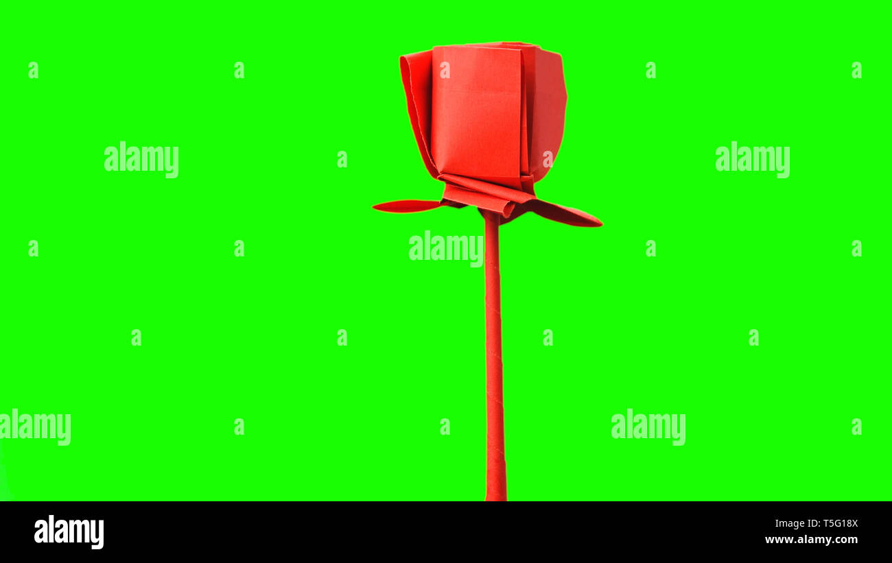 Red tulip origami flower Stock Photo - Alamy