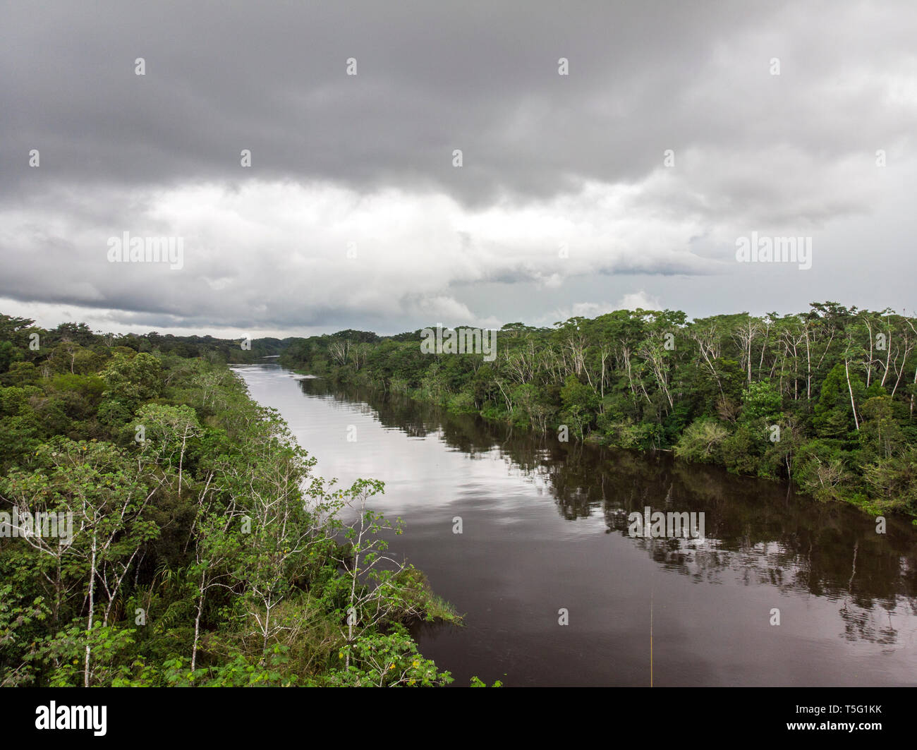 Aerial view of an Amazon tributary Stock Photo - Alamy