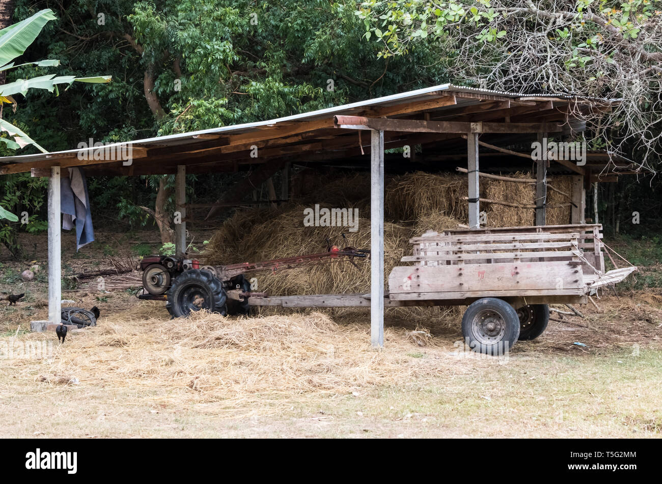 Traditional Thai farm truck is parking in the old garage which contain ...