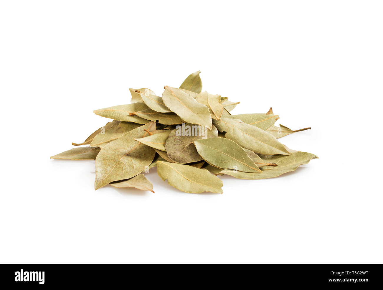 Dried bay leaves stack isolated on white. Laurel leaves heap Stock ...