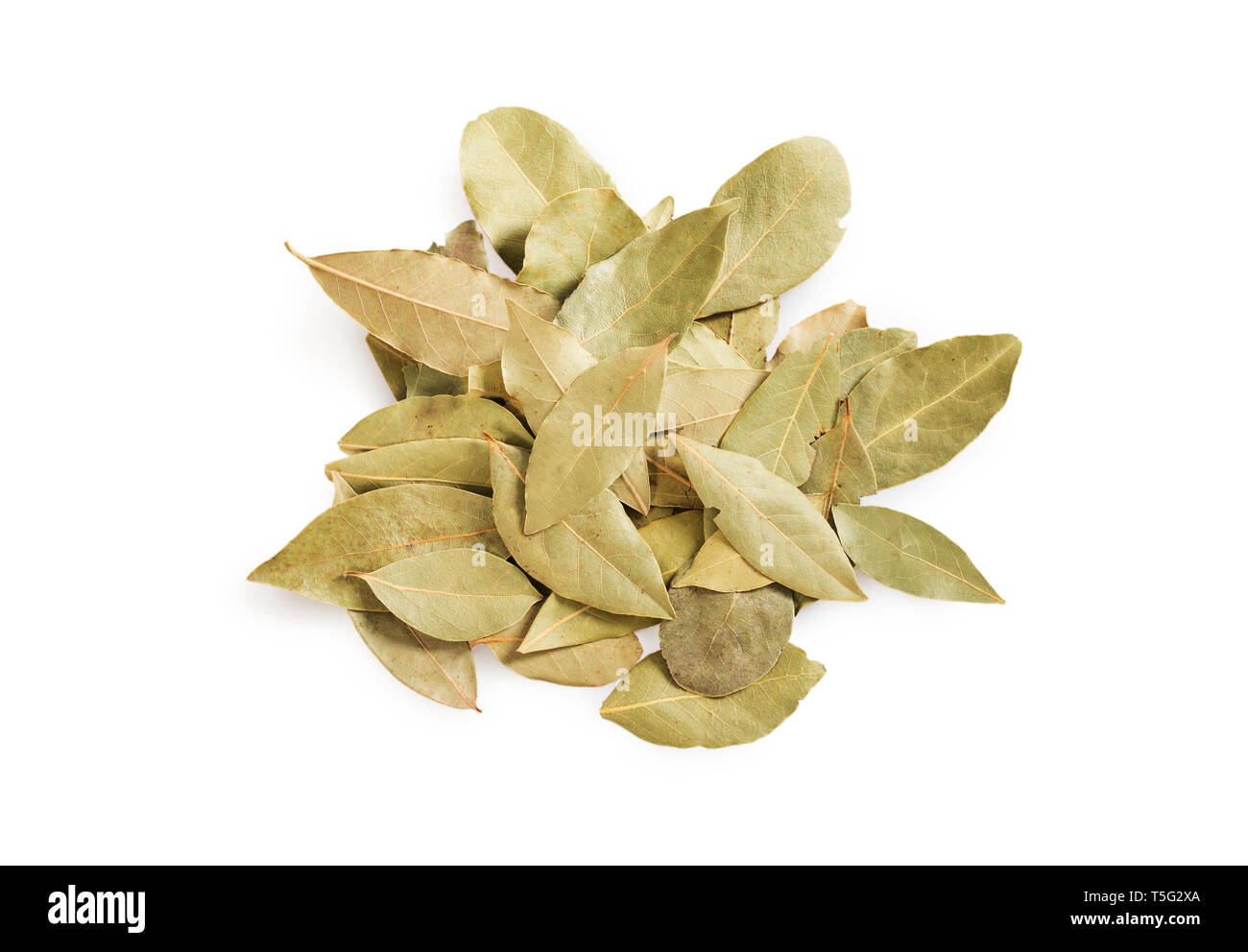 Dried bay leaves stack isolated on white. Laurel leaves heap Stock ...