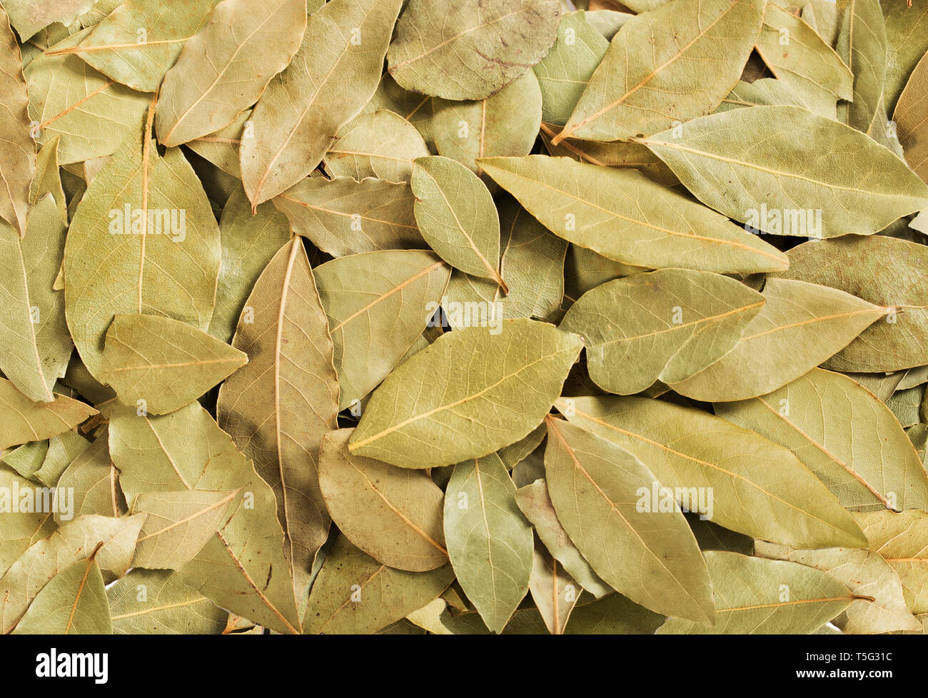 Bay leaves texture hi-res stock photography and images - Alamy