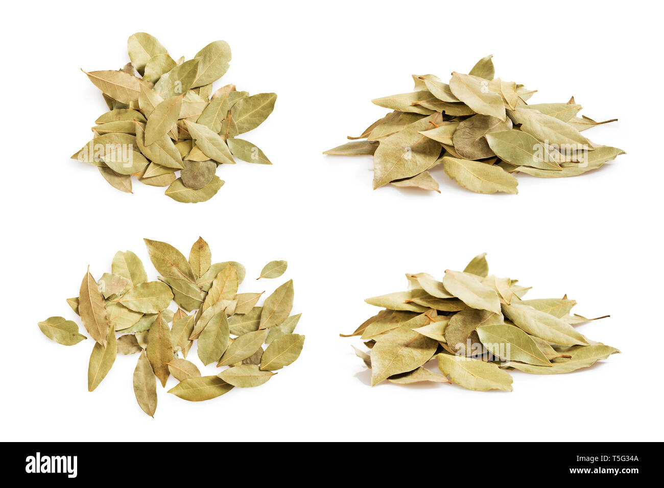 Bay leaves texture hi-res stock photography and images - Alamy