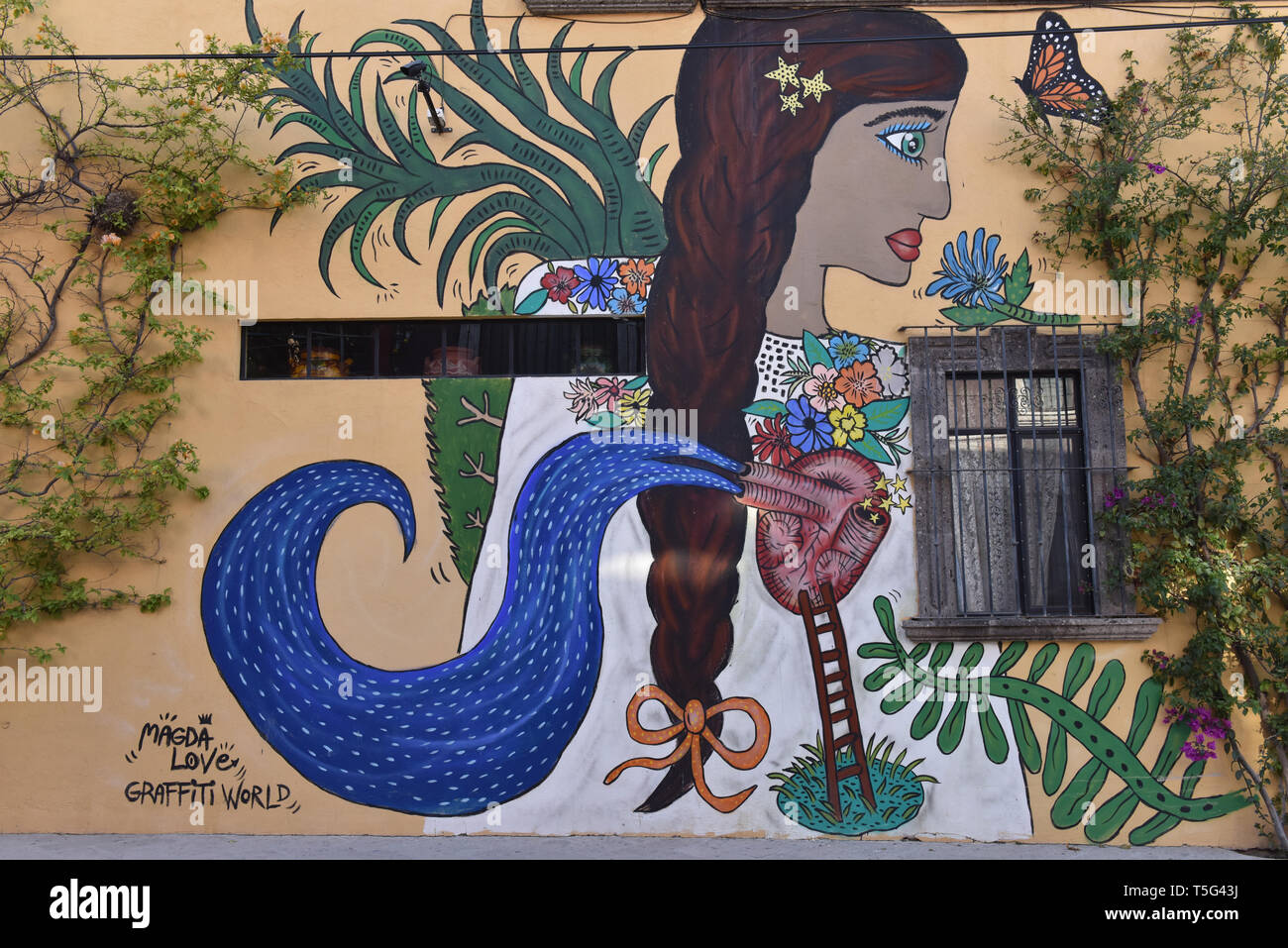 Colonia Guadelupe is the artistic neighbourhood of San Miguel de ...
