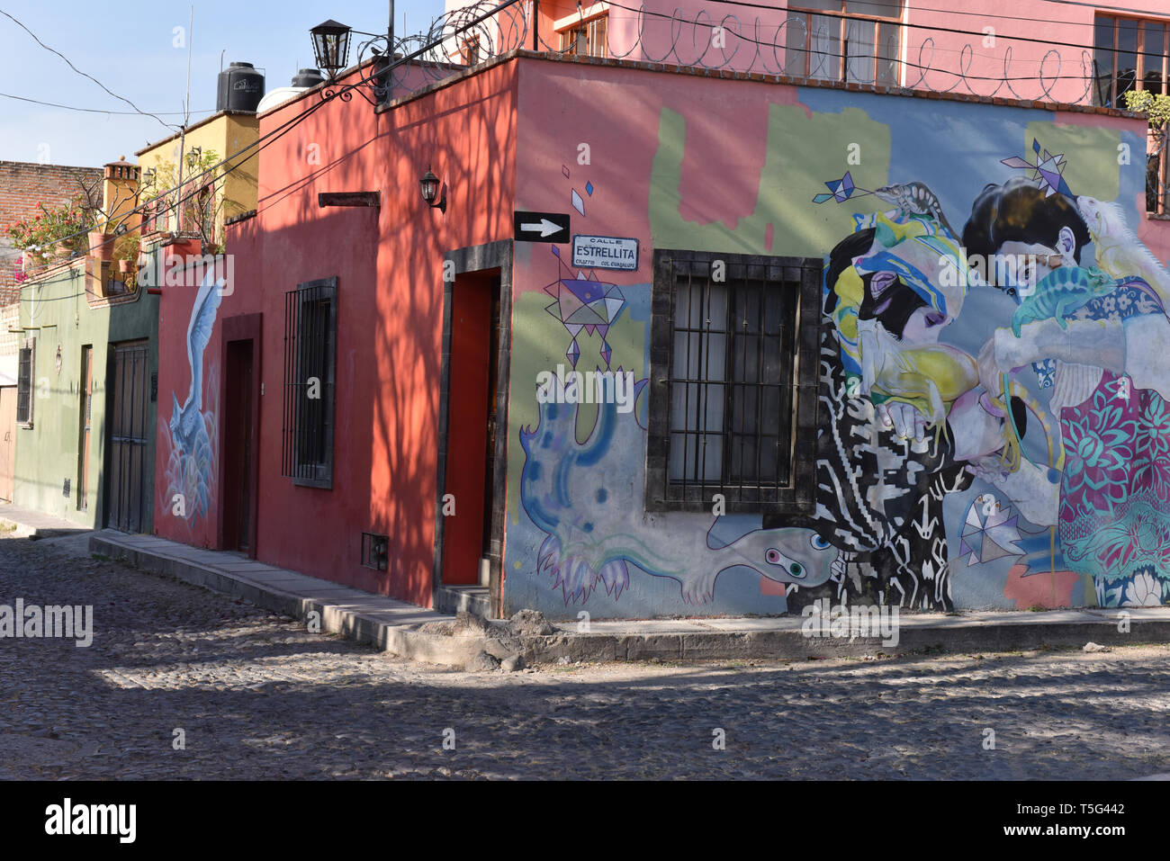 Colonia Guadelupe is the artistic neighbourhood of San Miguel de ...