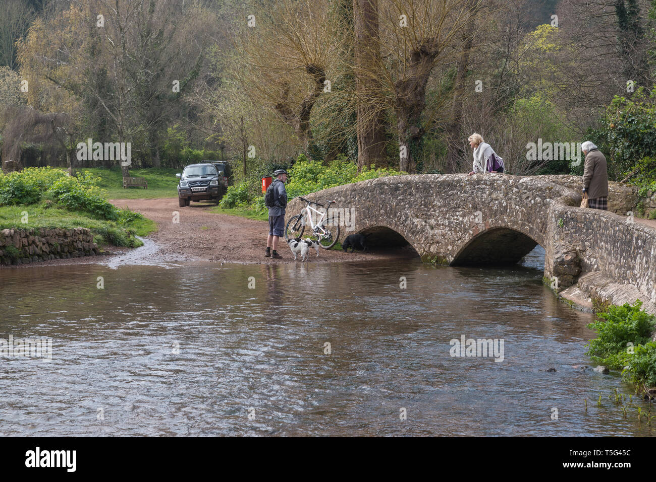 River Avill High Resolution Stock Photography and Images - Alamy