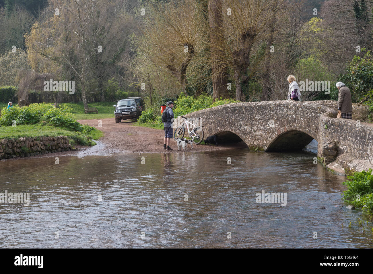 River Avill High Resolution Stock Photography and Images - Alamy