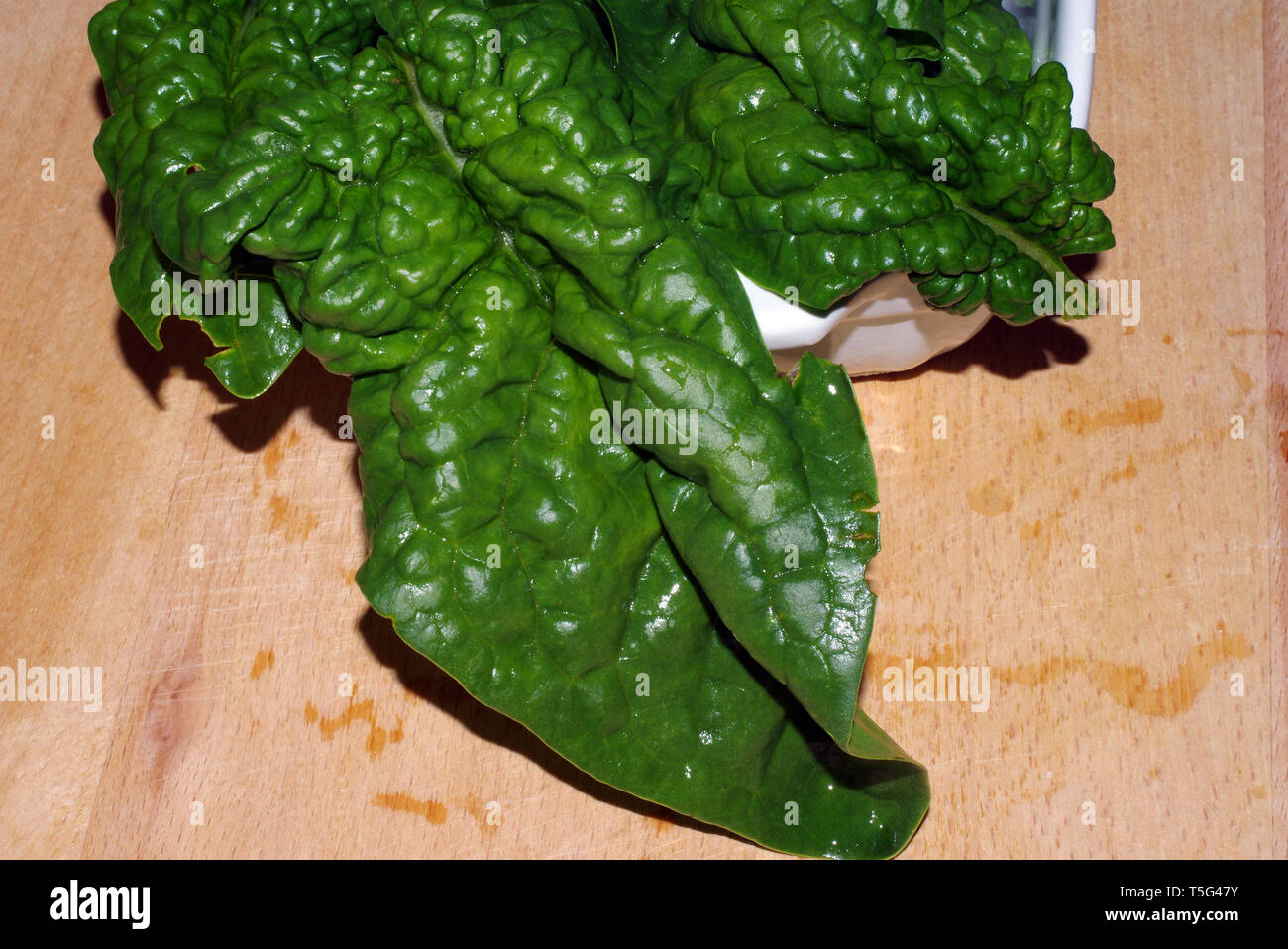 Spinach (spinacia oleracea) close-up Stock Photo - Alamy