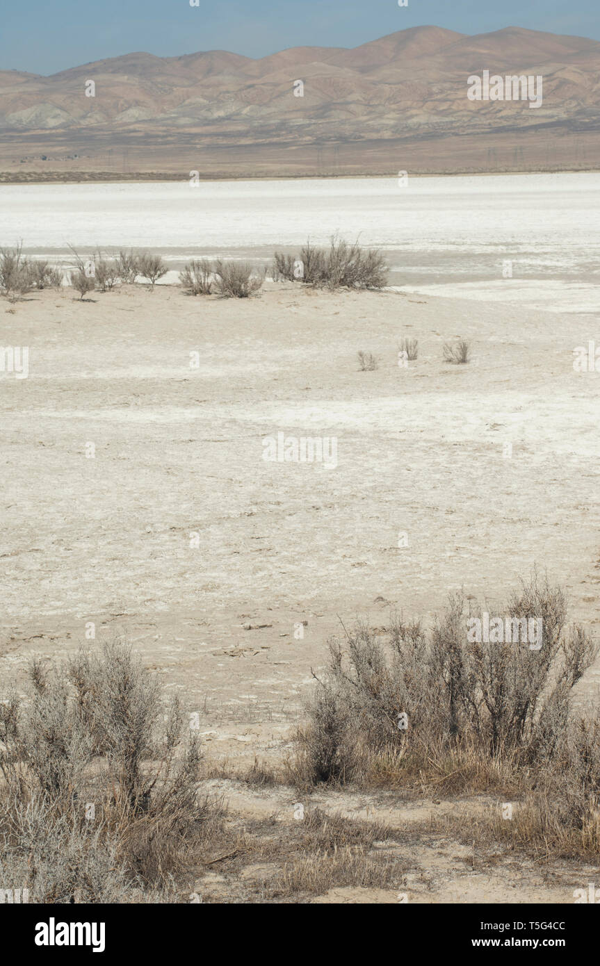 Salt crust of Soda Lake on the San Andreas Fault, Carrizo Plain ...