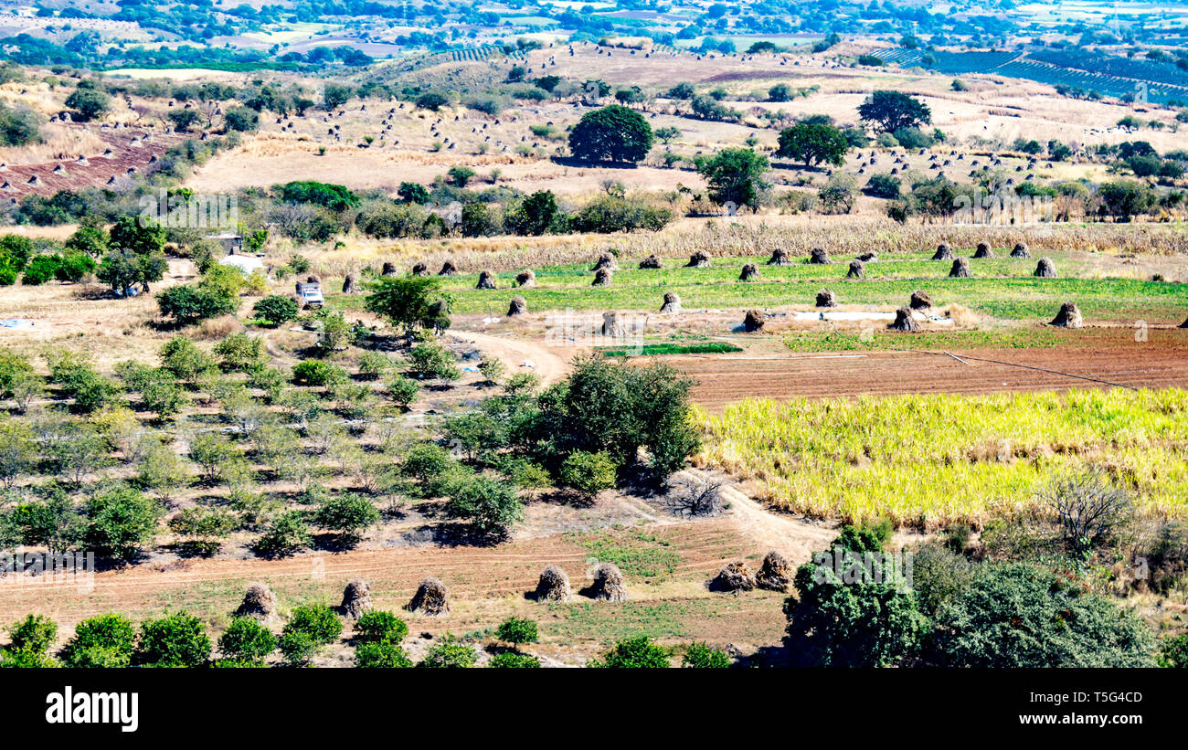 Haystack field car road hi-res stock photography and images - Alamy