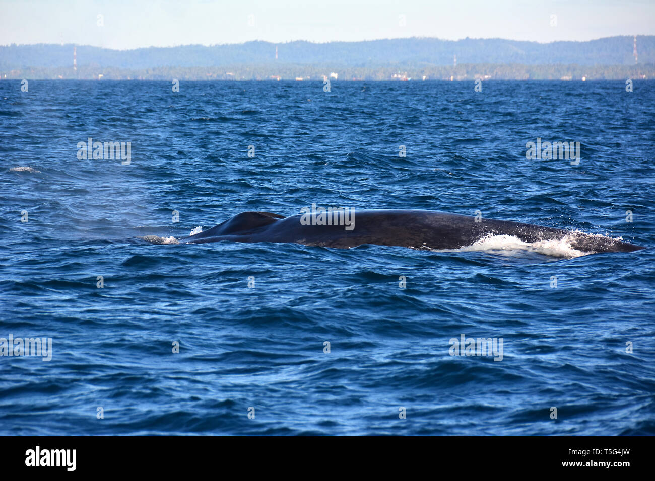 Lat 6 46329400 hi-res stock photography and images - Alamy