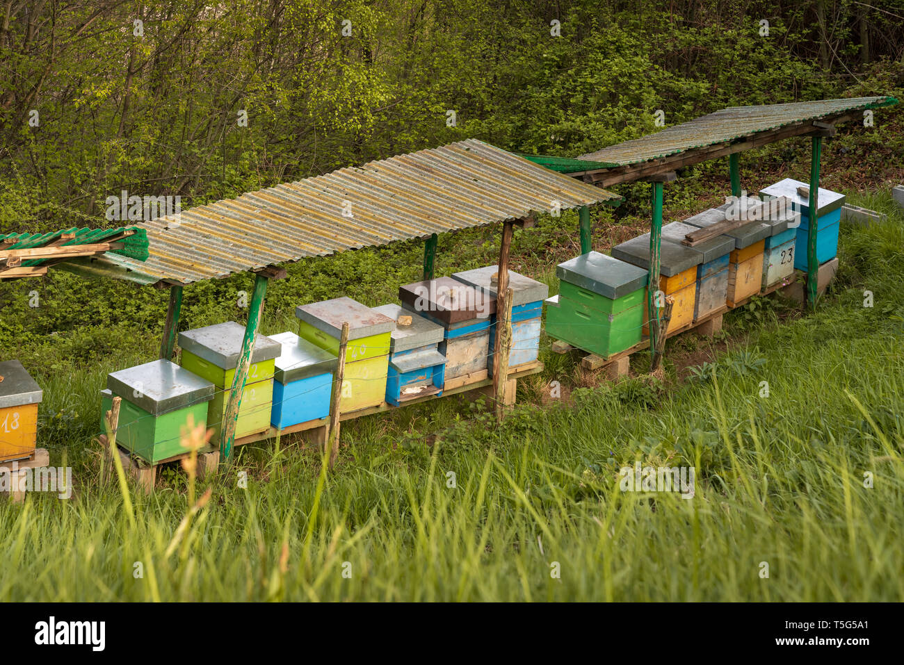 Honey bee hives italy hi-res stock photography and images - Alamy