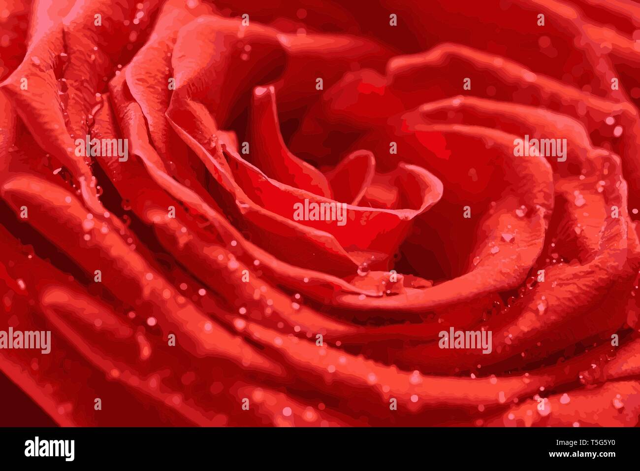 Water droplets bloom Stock Vector Images - Alamy