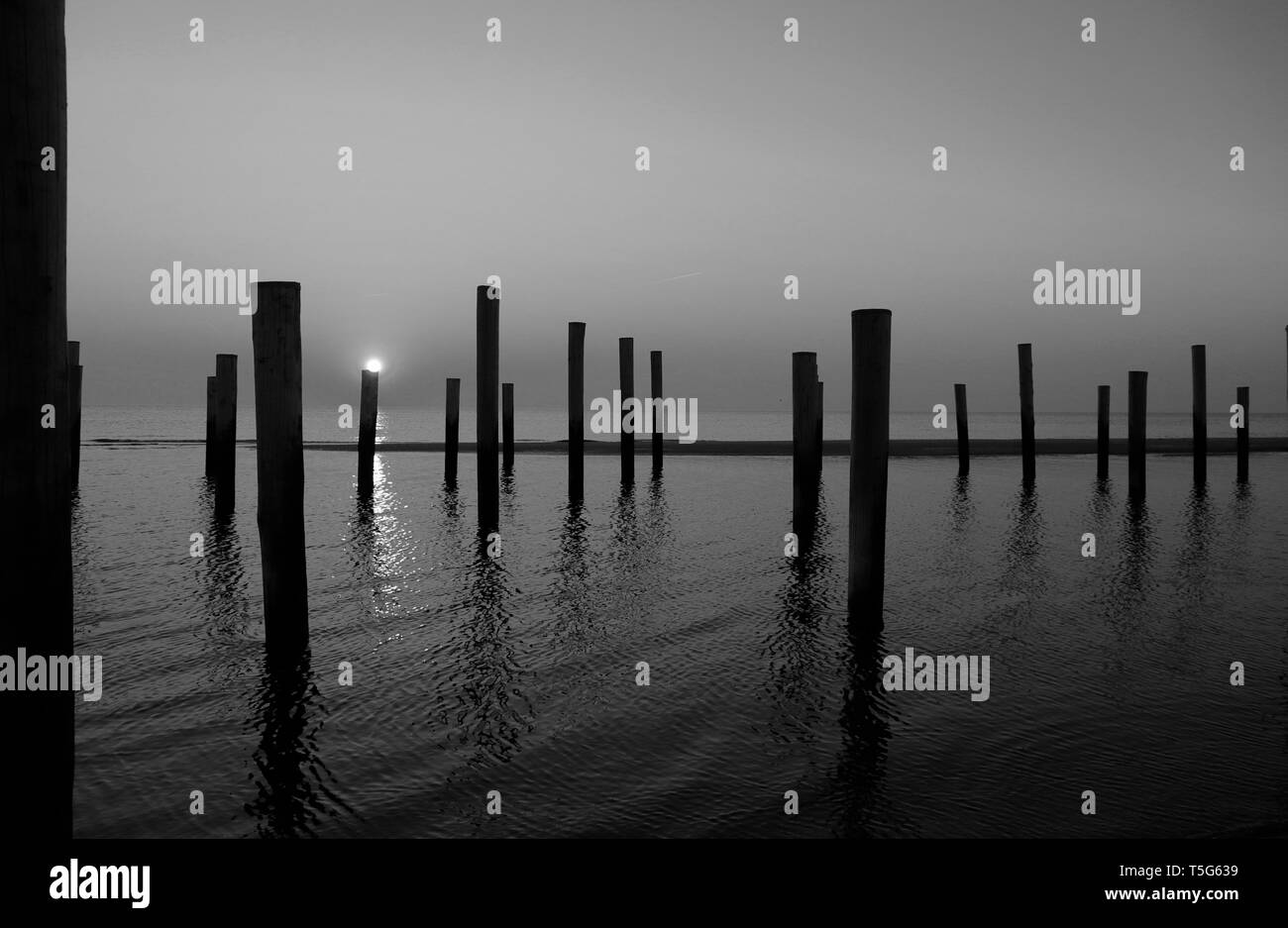 Pilar Black and White Stock Photos & Images - Alamy