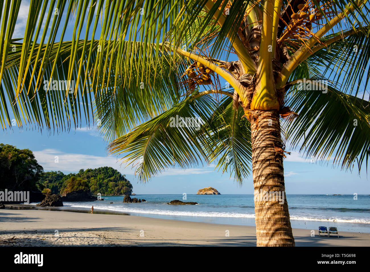 Tropical coastal views of Espadilla Norte Beach, Manuel Antonio, Quepos ...