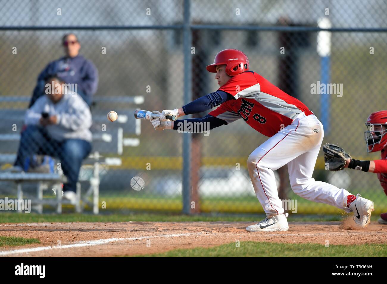 Batter executing a successful squeeze bunt that scored a run. USA Stock ...