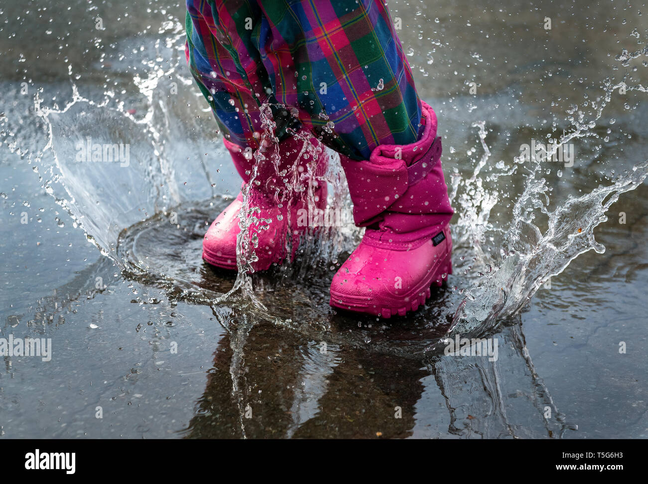 Puddle Of Rainwater High Resolution Stock Photography and Images - Alamy