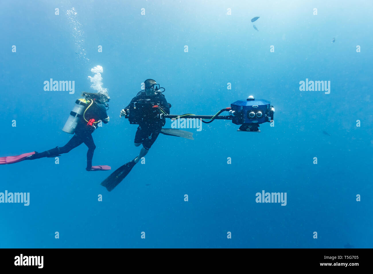 Closeup side view of action as cameraman diver films with 3D camera ...