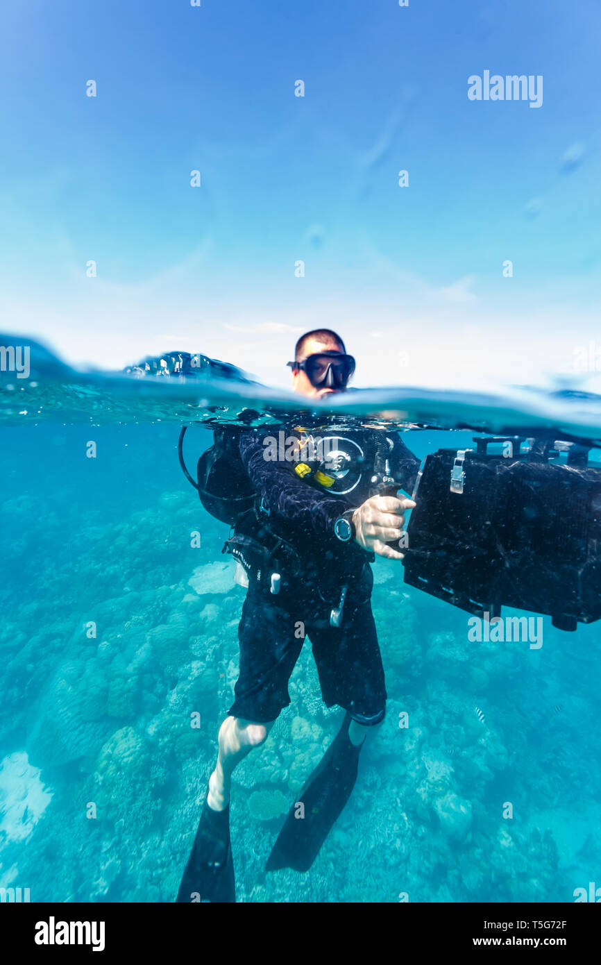 Diver cameraman in water with equipment head above waterline equipment ...