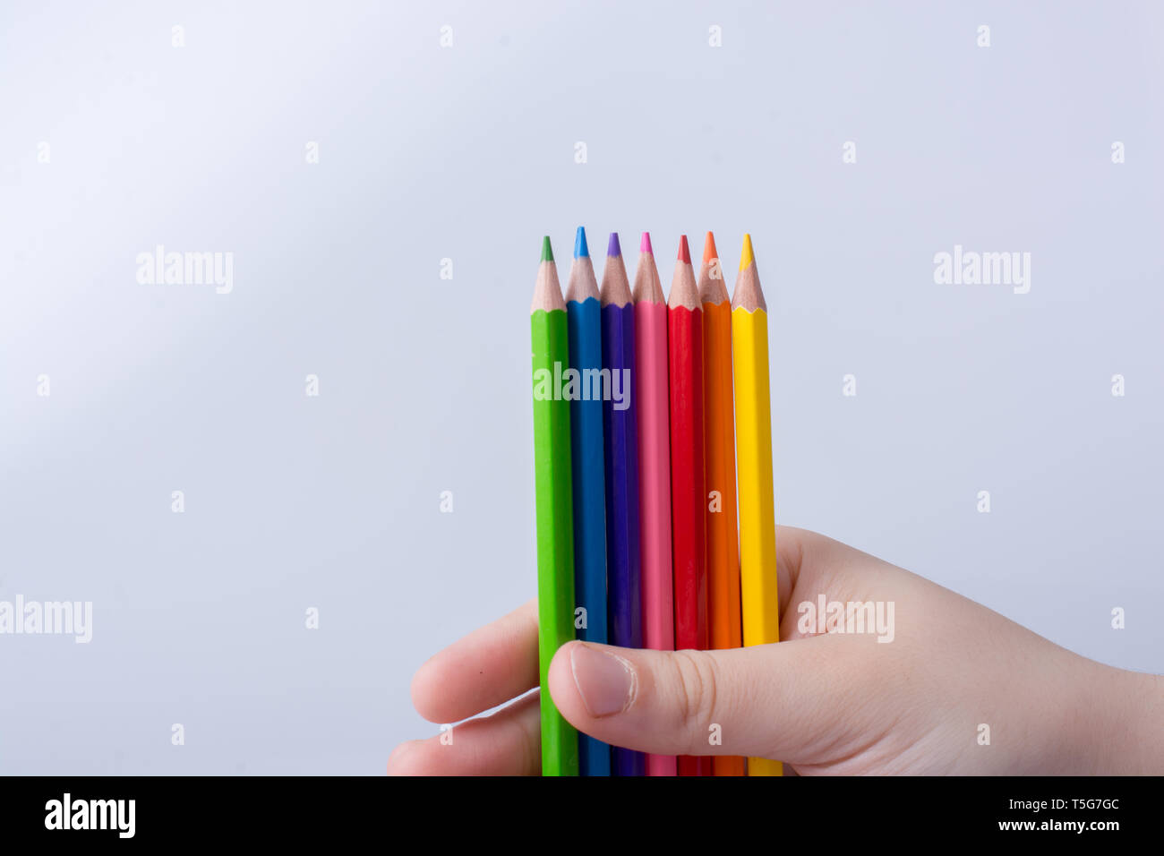 Hand holding color Pencils placed on a white background Stock Photo - Alamy