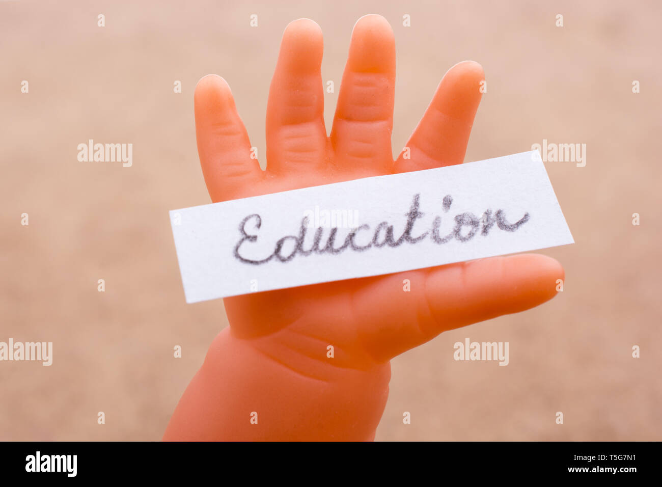 Back to school theme with education title Stock Photo - Alamy