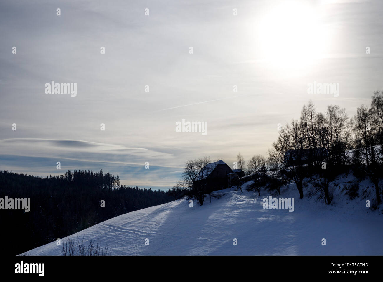 winter landscape in the austrian alps at a cloudy cold day with smooth ...