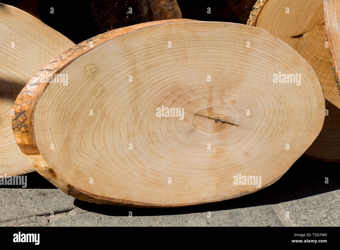 Piece of cut wood log texture as background Stock Photo - Alamy