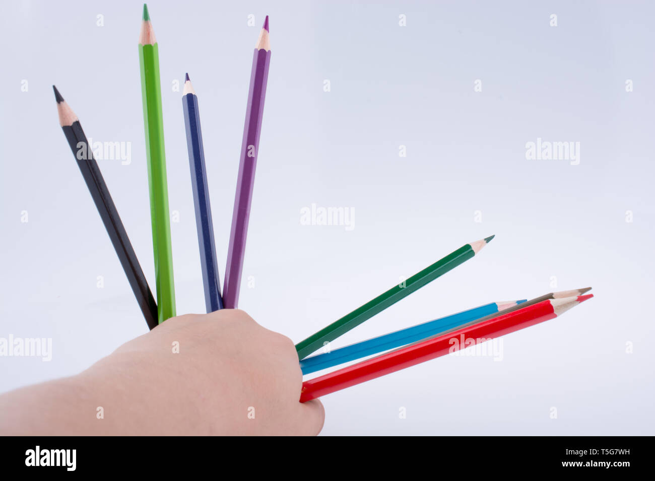 Hand holding Color Pencils on a white background Stock Photo - Alamy