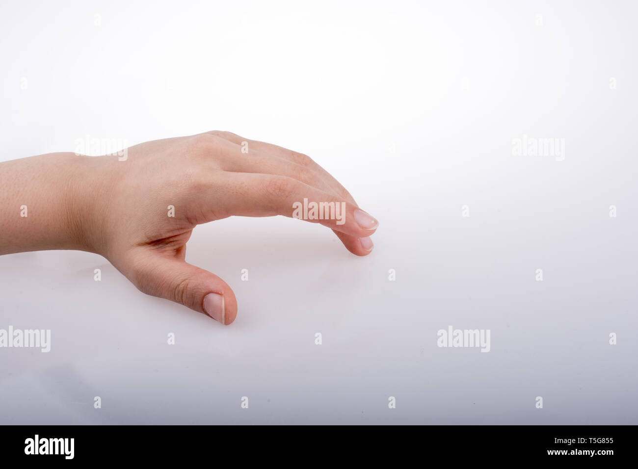 Hand holding on a white background Stock Photo - Alamy