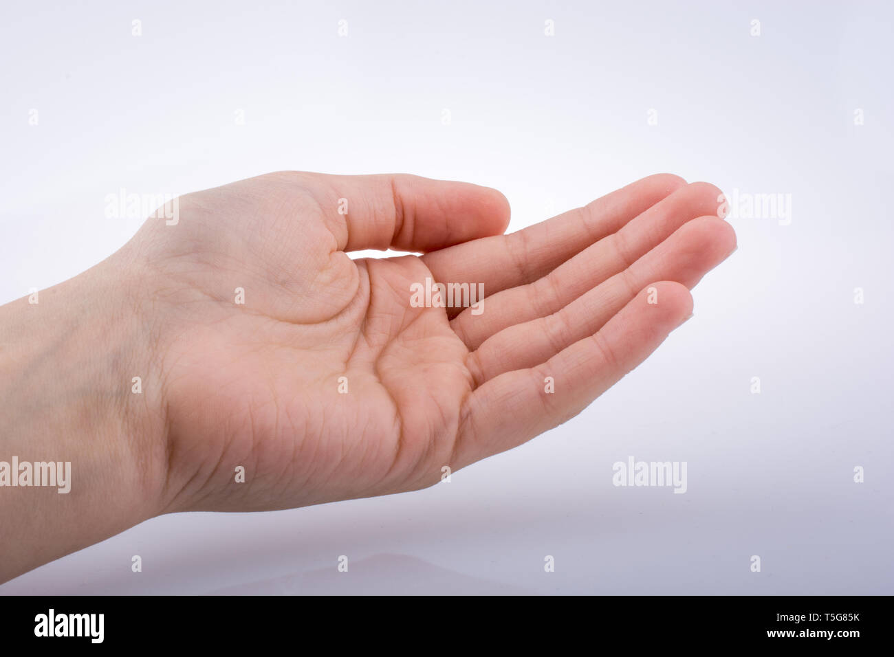 Hand holding on a white background Stock Photo - Alamy