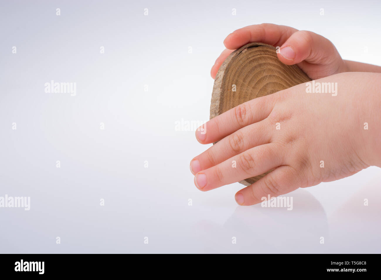 Wood Log cut in round thin pieces in hand on a white background Stock ...