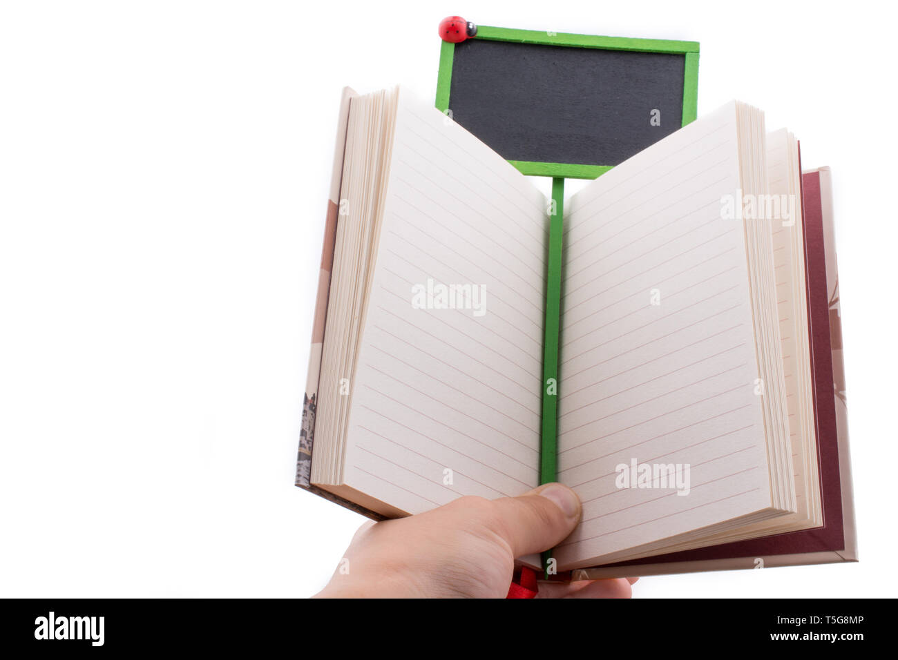 Hand holding a spiral notebook and a notice board Stock Photo - Alamy