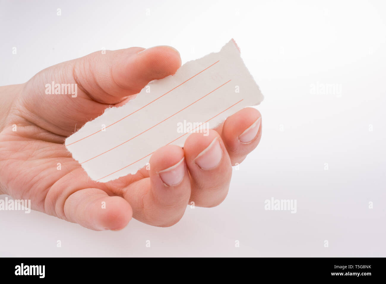 Hand holding a piece of torn lined paper on a white background Stock ...