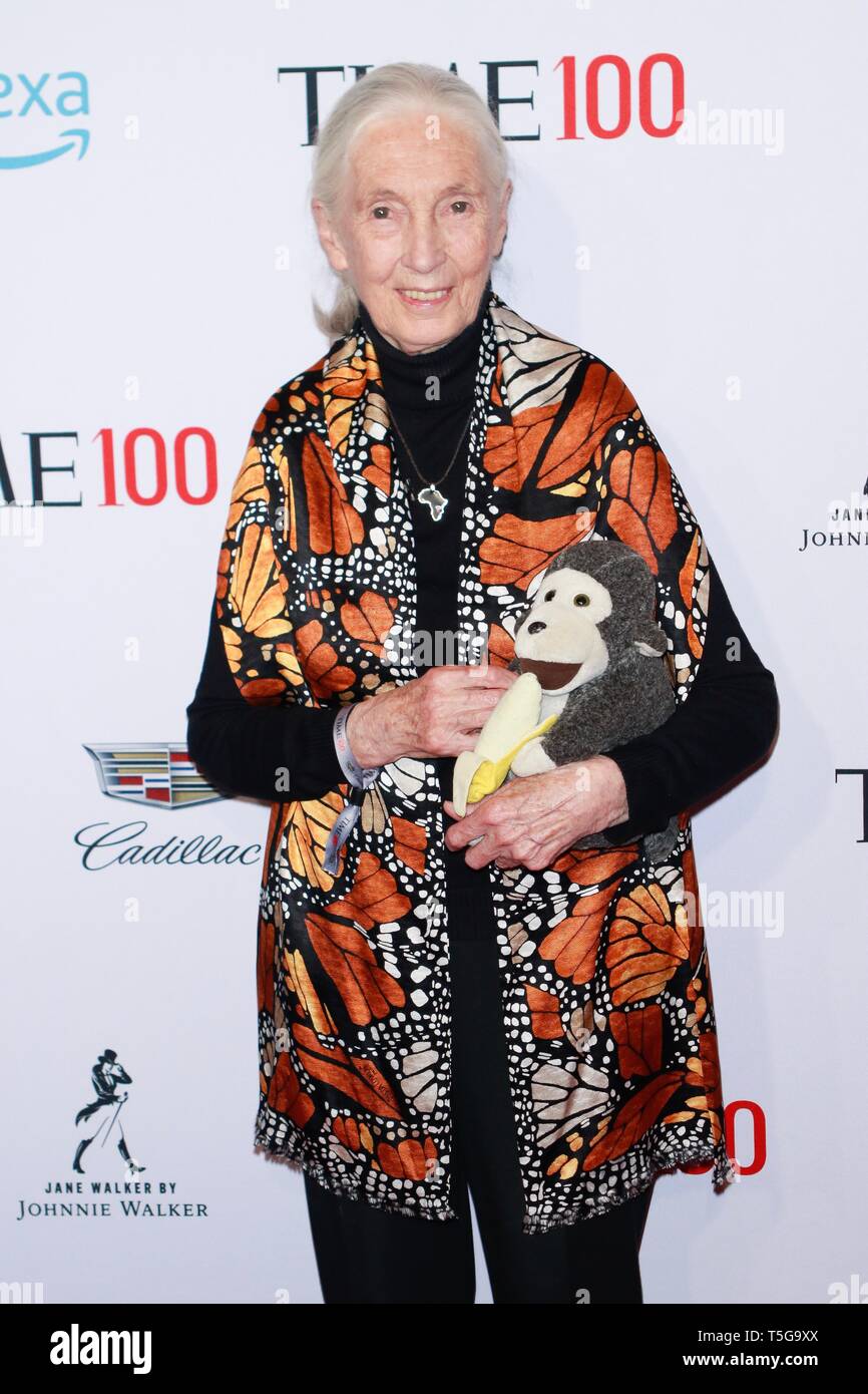 Jane goodall 2019 new york hi-res stock photography and images - Alamy