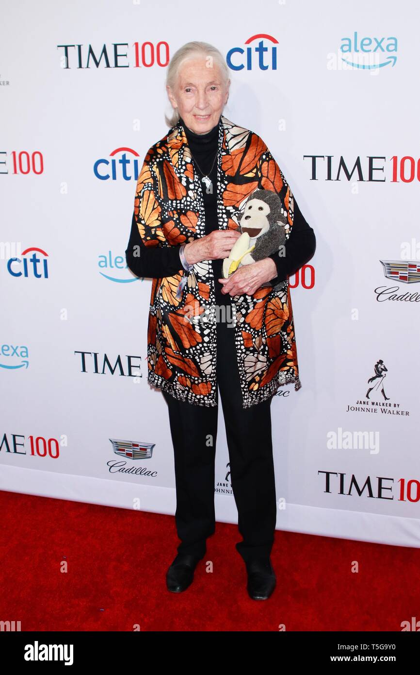 Jane goodall 2019 new york hi-res stock photography and images - Alamy
