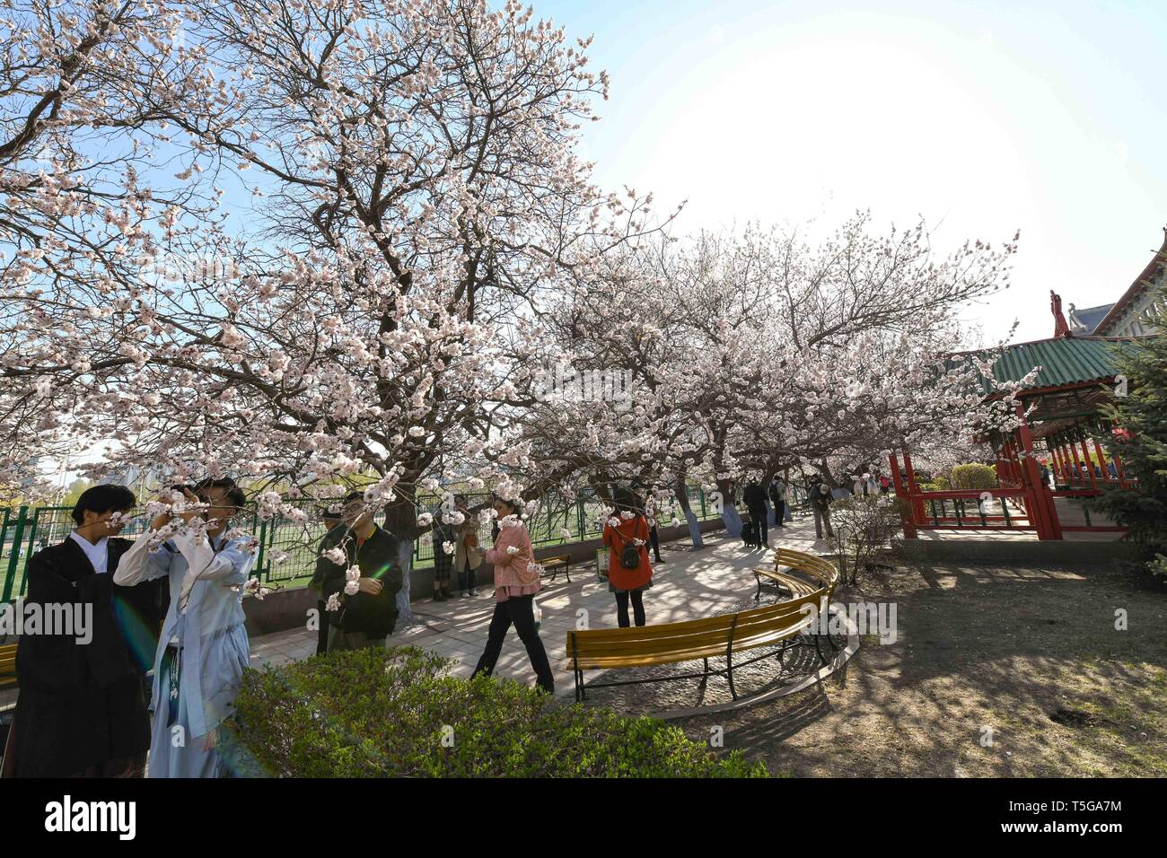 Harbin, China's Heilongjiang Province. 24th Apr, 2019. People walk and ...