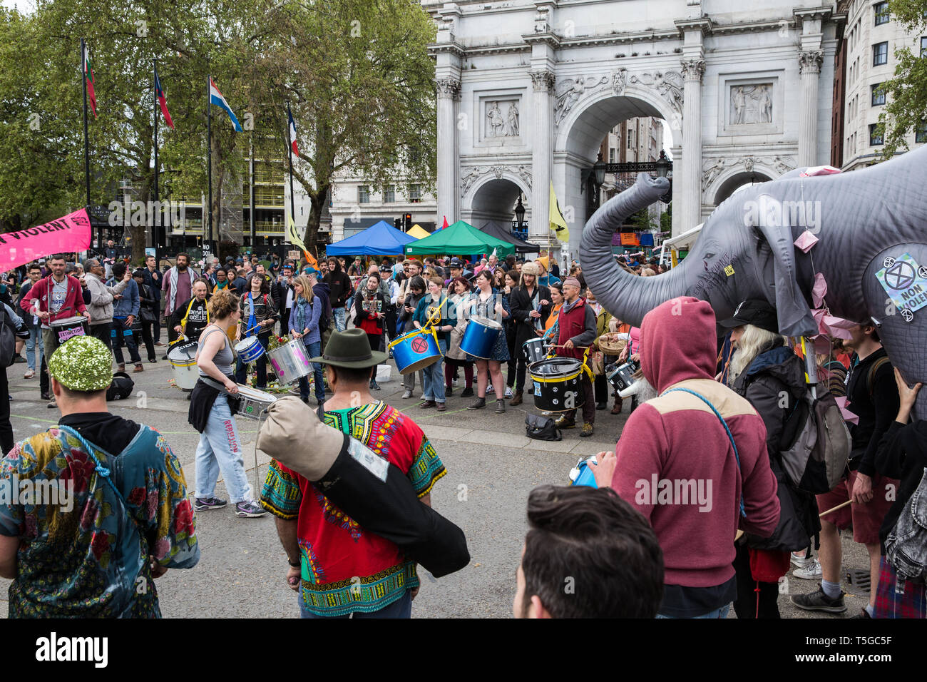 Xr elephant hi-res stock photography and images - Alamy