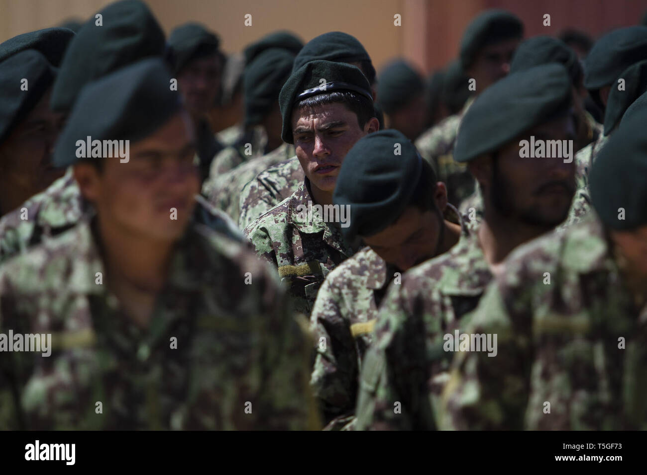 Army contingent hi-res stock photography and images - Alamy